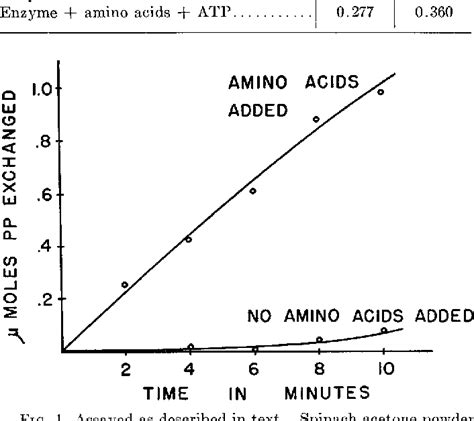 Figure 1 From Amino Acid Activation In Plant Tissues Semantic Scholar