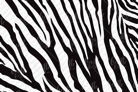 Zebra Pattern Print Svg Graphic By Gentlebear · Creative Fabrica