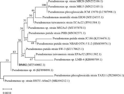 Nitrogen Removal By Heterotrophic Nitrifying And Aerobic Denitrifying Bacterium Pseudomonas Sp