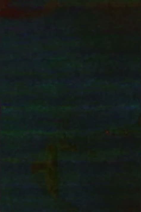 Entity Eating A Another Entity On Camera Analog Horror Youtube
