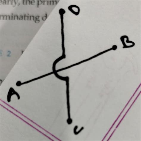 Wire Crossing Without Joining Brainly In