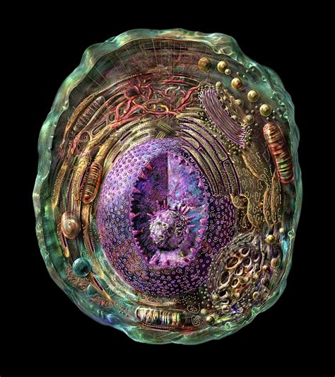 Science Photo Library Wall Art