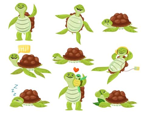 Cartoon Turtle Personage Cute Tortoise Characters Vector Image