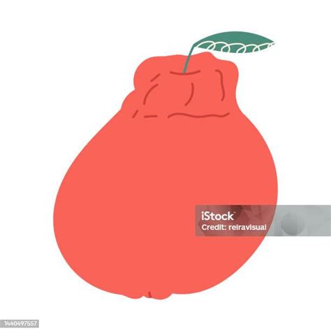 귤 또는 데코폰 과일 흰색 배경에 격리된 손으로 그린 만화 평면 벡터 삽화 감귤에 대한 스톡 벡터 아트 및 기타 이미지 감귤 감귤류 과일 건강한 식생활 Istock