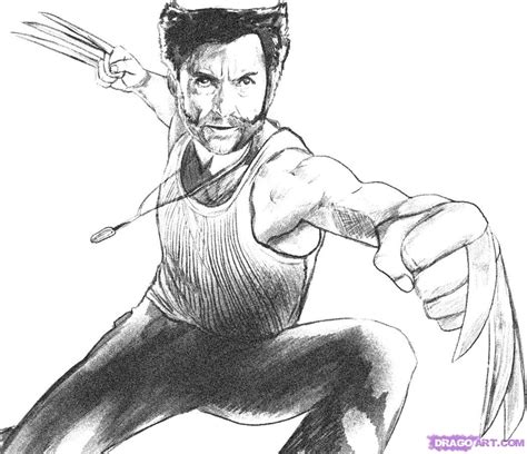 Wolverine Cartoon Drawing At Explore Collection Of