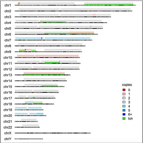 Figure 2 From Cnviz An Rshiny Application For Interactive Copy Number