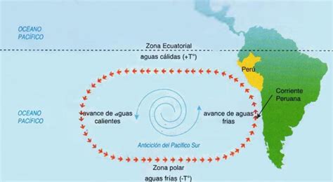Qué es la corriente Humboldt y cómo se origina El Popular