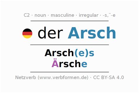 Declension German Arsch All Cases Of The Noun Plural Article Netzverb Dictionary