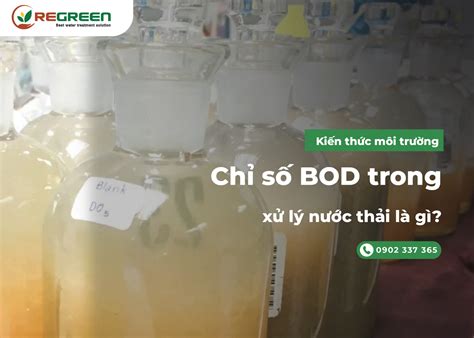 Tìm hiểu và phân biệt COD BOD trong xử lý nước thải