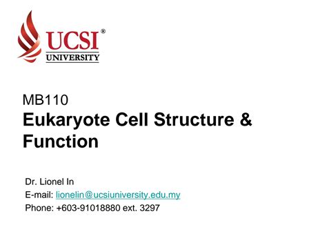 Solution Lecture Eukaryotes Cell Structure Function Copy Studypool