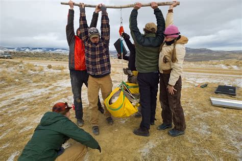 Research Seeks Reasons For Demise Of Mule Deer Wyofile