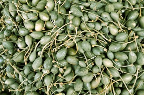 What Are Capers About Us