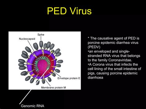 Current Trends In Molecular Biology And Biotechnology Ppt Ppt