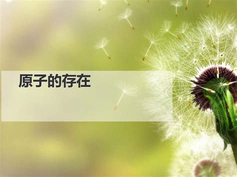 自然观word文档在线阅读与下载无忧文档