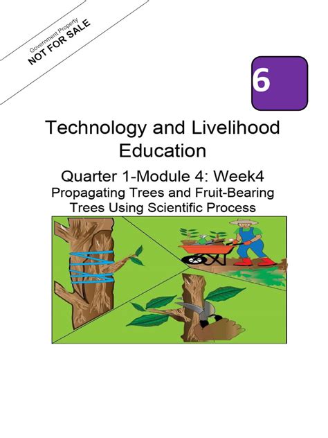 tle quarter 2 module 4 adm pdf