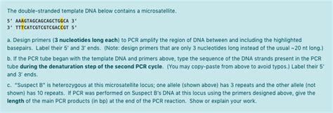 Solved The Double Stranded Template DNA Below Contains A Chegg