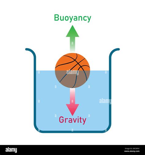 Principle Of Archimedes Stock Vector Images Alamy
