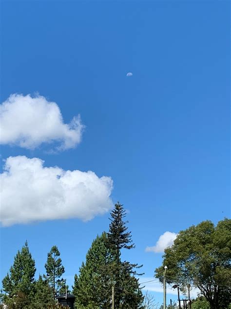 Daniel Pinto Fotografía