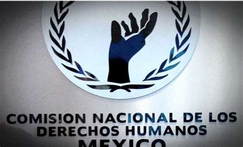 Integrantes Del Consejo Consultivo De La Cndh Presentan Su Renuncia