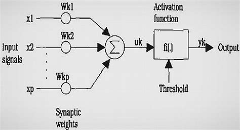 Nonlinear Model Of A Neuron 2 Download Scientific Diagram