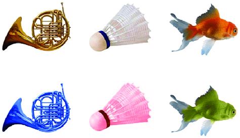 Examples Of Correctly Top And Incorrectly Coloured Objects