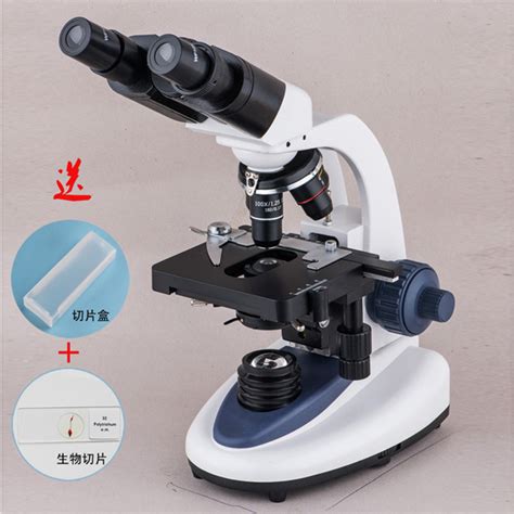 生物玻片 腊叶标本厂家 河南显微镜 新乡市维克科教仪器有限公司