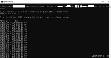 Oracle Sqlldr入门使用sqlldr在哪里执行 Csdn博客