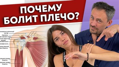 Проведи онлайн тест плеча узнай что болит Упражнения для плечевых