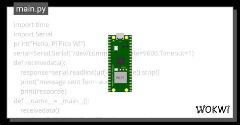 Rasp Wokwi ESP STM Arduino Simulator