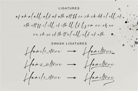 Hamiltone Signature Font • Beautiful Psd Design