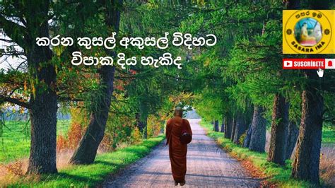 කරන කුසල් අකුසල් විදිහට විපාක දිය හැකිද Youtube