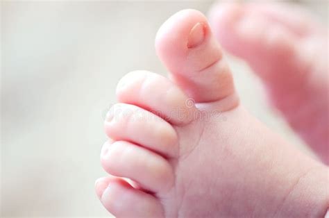 Newborn пальцы ноги младенца Стоковое Изображение изображение
