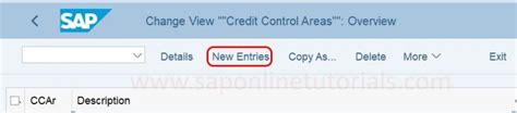 How To Define Credit Control Area In Sap Hana Sap Tutorials