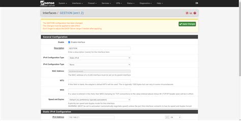 Cómo Configurar En Pfsense Internet Vlans Dhcp Los Dns Y La Nat