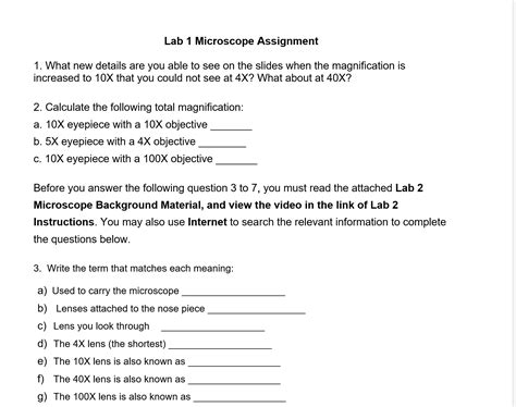 Solved What New Details Are You Able To See On The Slide Chegg