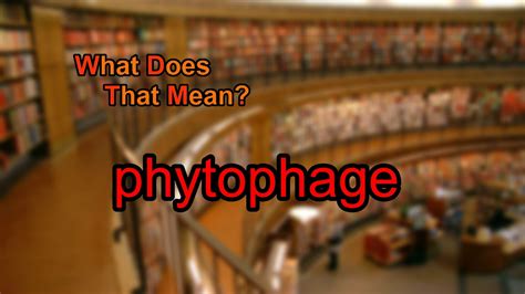 What Does Phytophage Mean Youtube