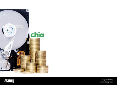 Cryptocurrency Chia And Hard Disk Server For Mining New Crypto