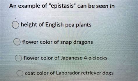 An Example Of Epistasis Can Be Seen In Height Of English Pea Plants Flower Color Of Snap Dragons
