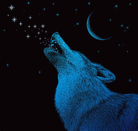 Wolf Moon By Aycatanrikulu Wolf Moon Wolf Pictures Wolf Spirit🥗