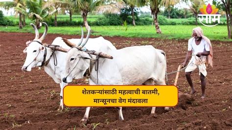 Maharashtra Rain Update मौसमी वाऱ्यांचा वेग मंदावला Imd कडून धडकी