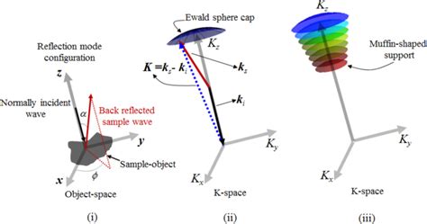 Tomographic Imaging Via Spectral Encoding Of Spatial Frequency Abstract Europe Pmc
