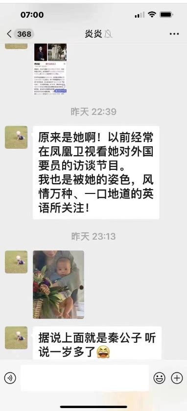 秦刚情妇傅晓田的丈夫石宝峰举报傅晓田是双面间谍