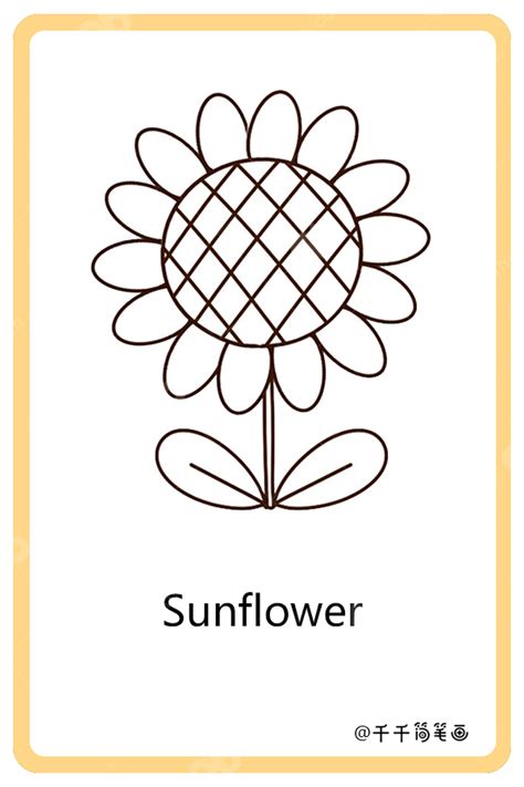 儿童英语词汇认知 向日葵sunflower 植物英文认知简笔画