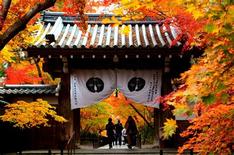 2018京都光明寺の紅葉 by 風の旅人ジャンルック ID9165300 写真共有サイト PHOTOHITO