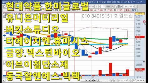 [관심종목] 현대약품 한미글로벌 유니온머티리얼 버킷스튜디오 티에이치엔 휴마시스 금양 넥스턴바이오 이브이첨단소재 동국알앤에스 빅텍