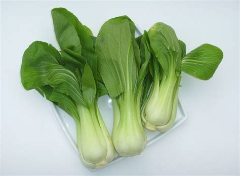 Xiao Bai Cai Il Cavolo Cinese Bok Choy La Cucina Cinese
