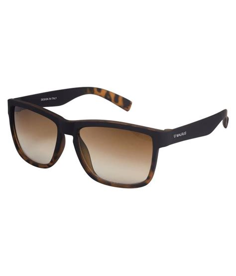 Walrus Brown Square Sunglasses Ws Don Iii 092602d Buy Walrus
