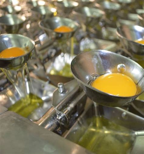 LIQUID EGGS PASTEURIZED Eugon Valley Poultry