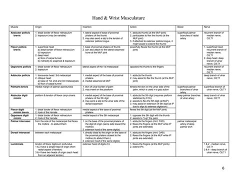 Muscle Attachment Table Compartment Wise Ppt
