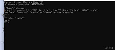 安装稳定版python 3 9 2 python3 9哪个版本最稳定 csdn博客